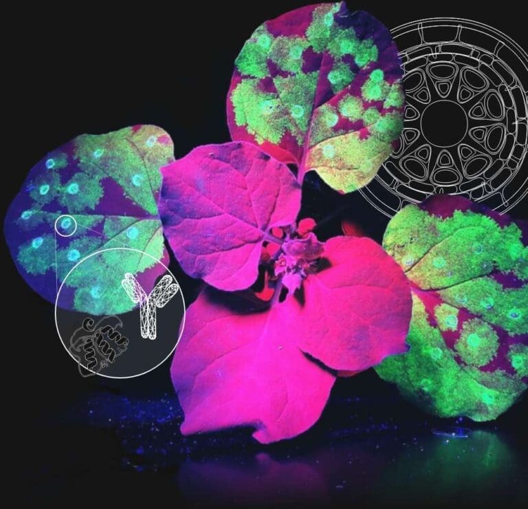 KBio is Making Plant-Based Manufacturing Possible | KBio