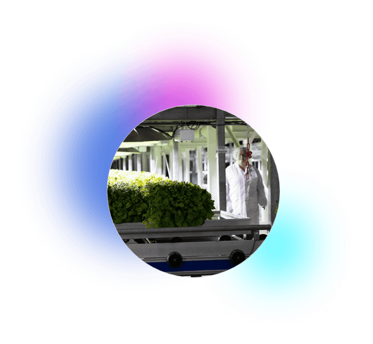 Pioneers of Plant-Powered Initiatives | About KBio